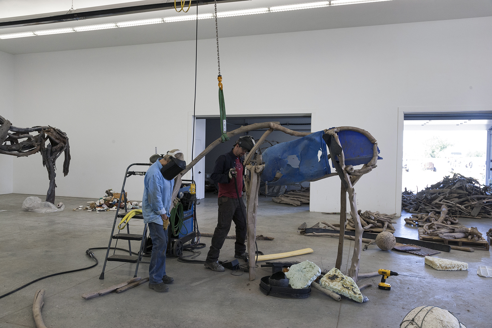 Deborah Butterfield - Tia Collection : Tia Collection