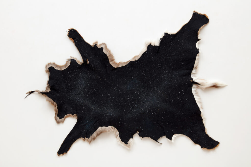 Artist Spotlight: Nicholas Galanin - Tia Collection : Tia Collection