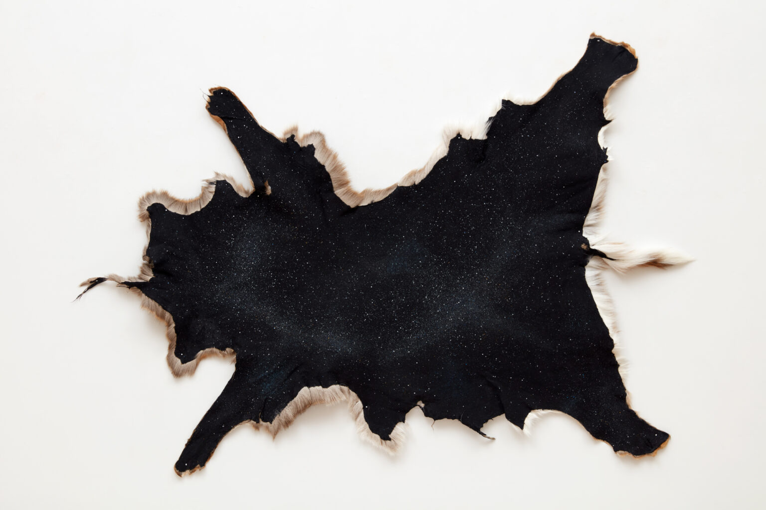 Artist Spotlight: Nicholas Galanin - Tia Collection : Tia Collection