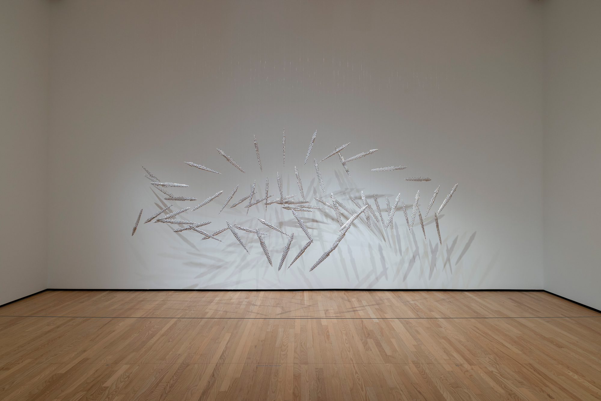 Artist Spotlight: Nicholas Galanin - Tia Collection : Tia Collection