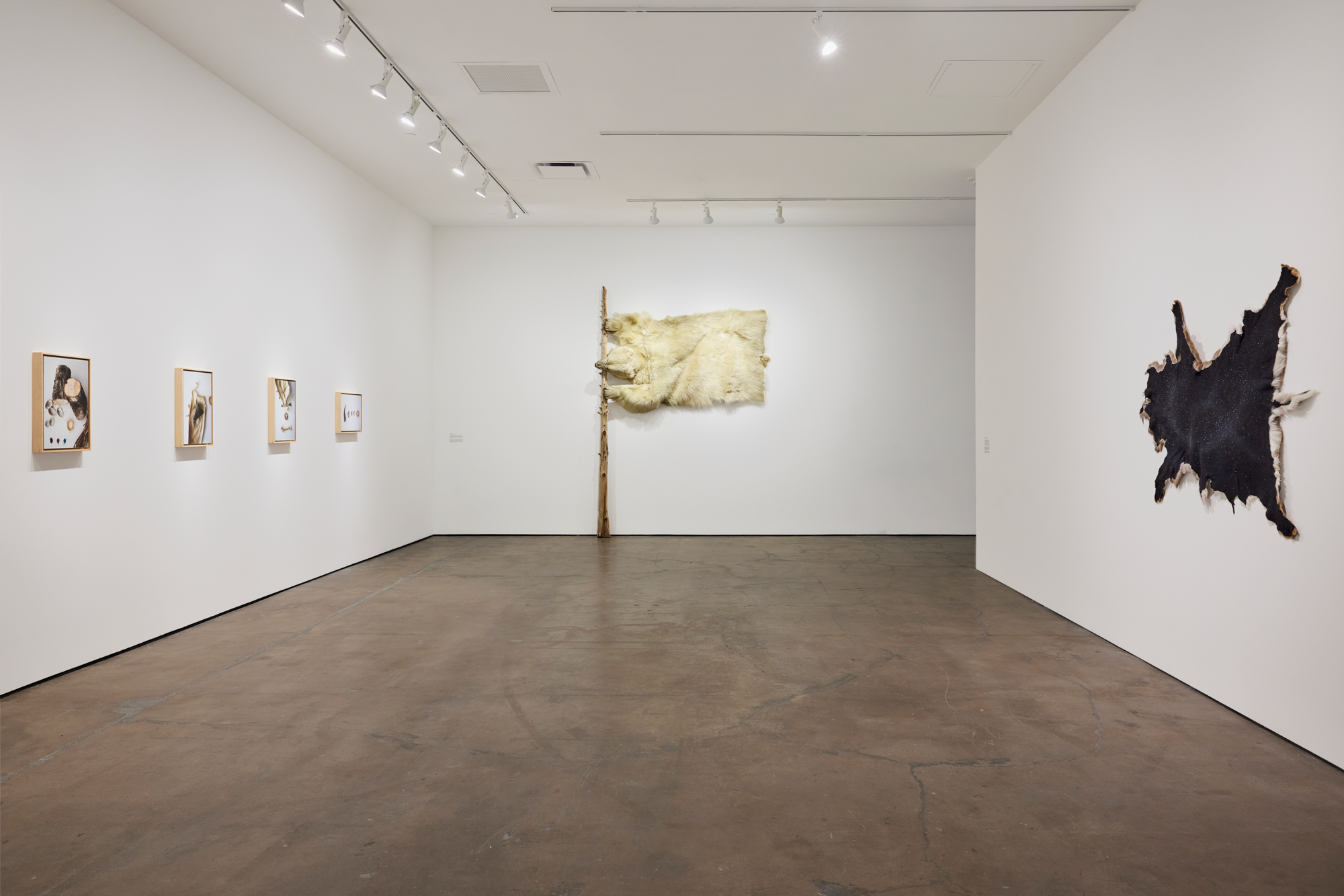 Artist Spotlight: Nicholas Galanin - Tia Collection : Tia Collection